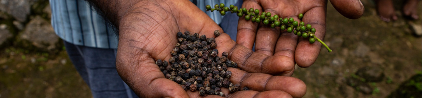 Seasoning and Spice Association Guidance